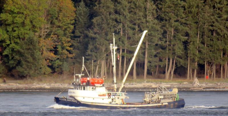 SILVER DOLPHIN - Vesseljoin