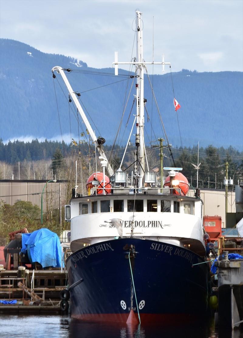 SILVER DOLPHIN - Vesseljoin