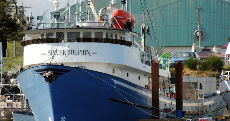 SILVER DOLPHIN - Vesseljoin