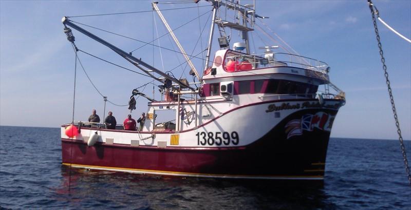 DALTONS PRIDE - Vesseljoin