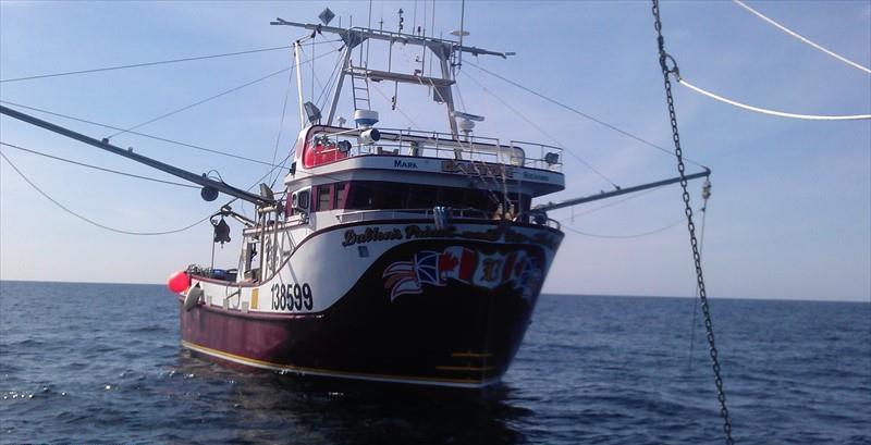 DALTONS PRIDE - Vesseljoin