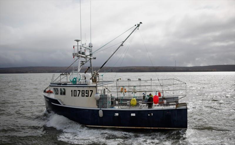 KNOTTY OBSESSION - Vesseljoin