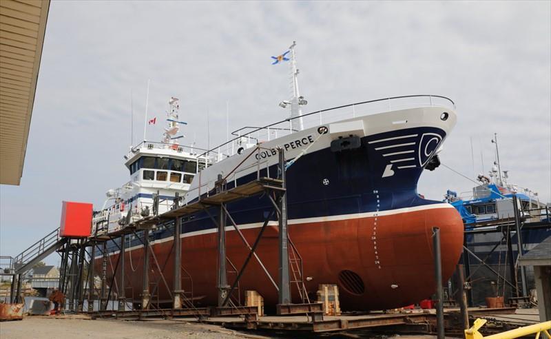 COLBY PERCE - Vesseljoin