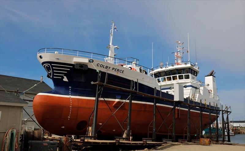 COLBY PERCE - Vesseljoin