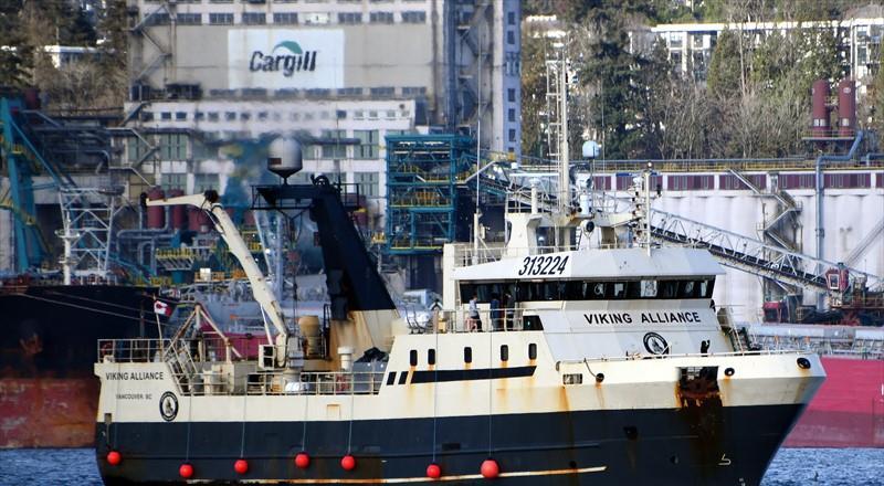 VIKING ALLIANCE - Vesseljoin