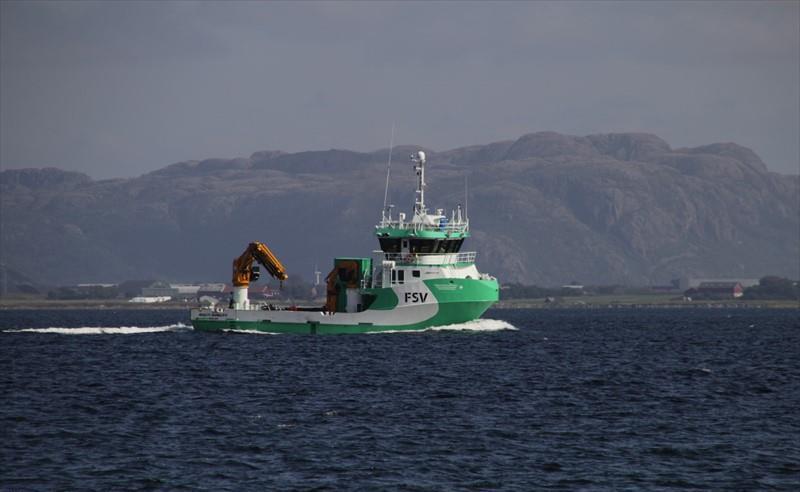 MULTI QUALITY - Vesseljoin