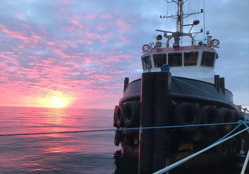 AMY LYNN D - Vesseljoin