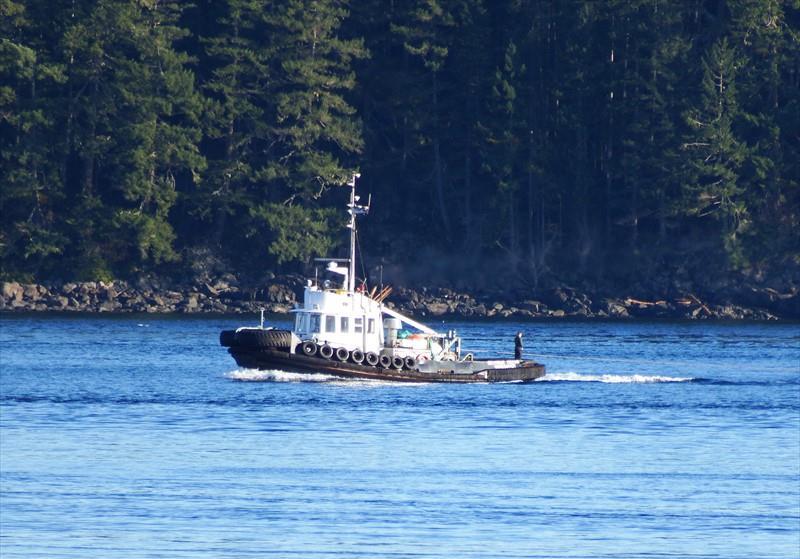 SEYMOUR CROWN - Vesseljoin