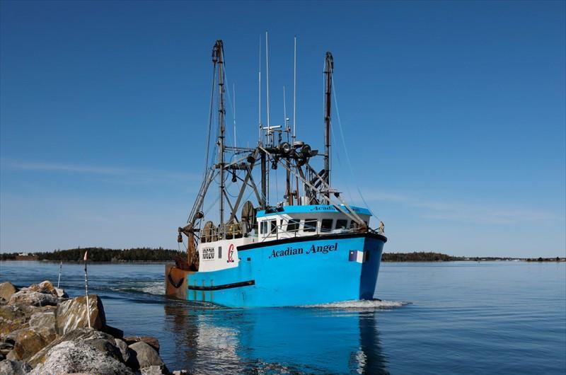 ACADIAN ANGEL - Vesseljoin