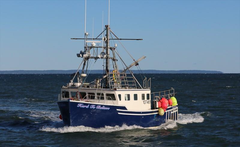 HARD TO BELIEVE - Vesseljoin