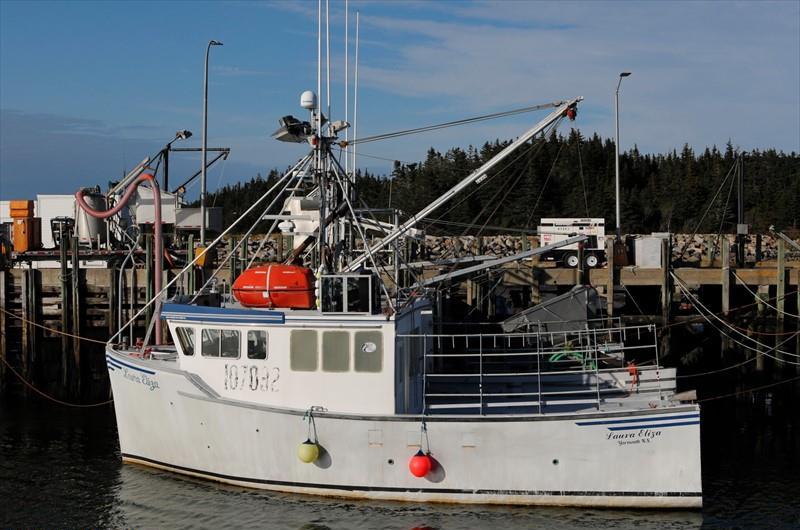 LAURA ELIZA - Vesseljoin