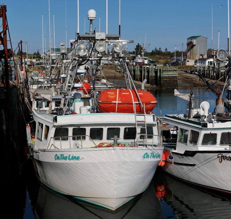 ON THE LINE - Vesseljoin