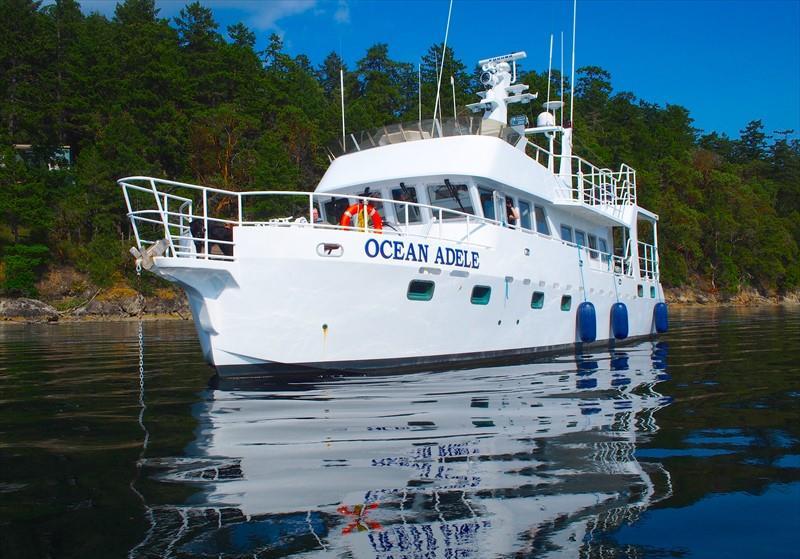 OCEAN ADELE - Vesseljoin