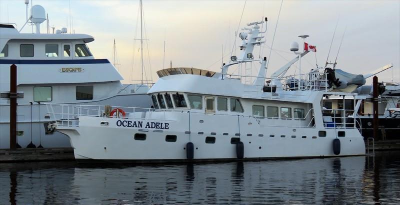 OCEAN ADELE - Vesseljoin