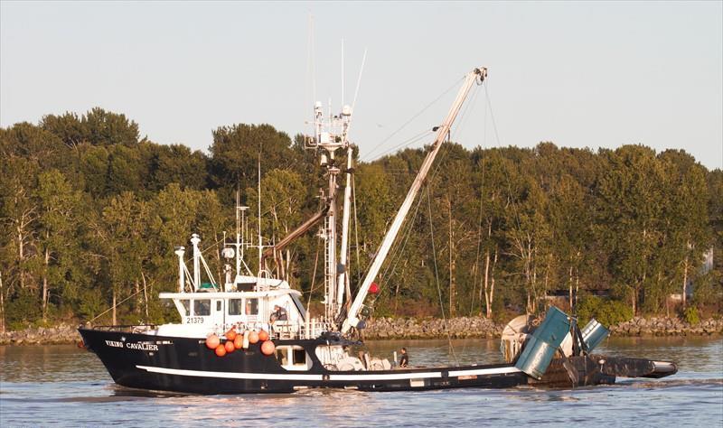 VIKING CAVALIER - Vesseljoin