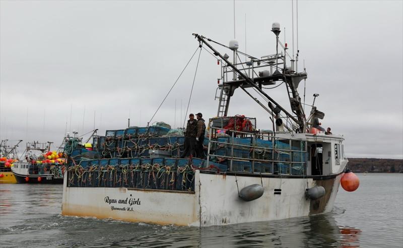 RYAN AND GIRLS - Vesseljoin