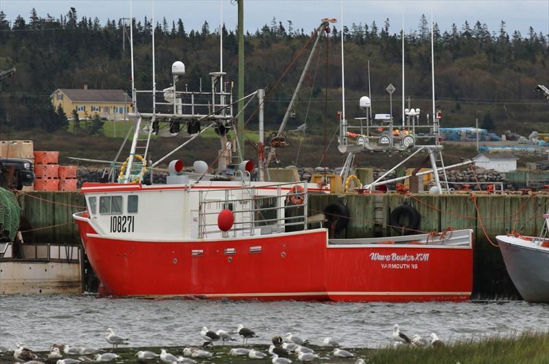 WAVE BUSTER XVII - Vesseljoin