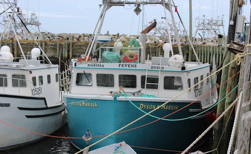 DYSON MARISSA - Vesseljoin