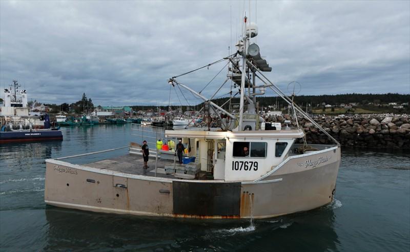 MEGA HAWK - Vesseljoin