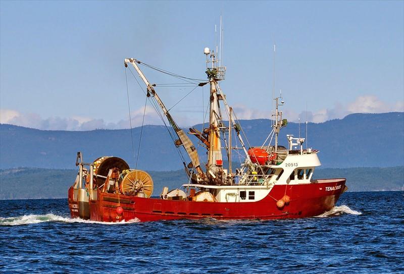 TENACIOUS - Vesseljoin