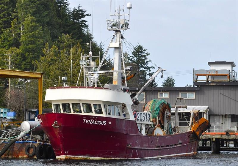 TENACIOUS - Vesseljoin