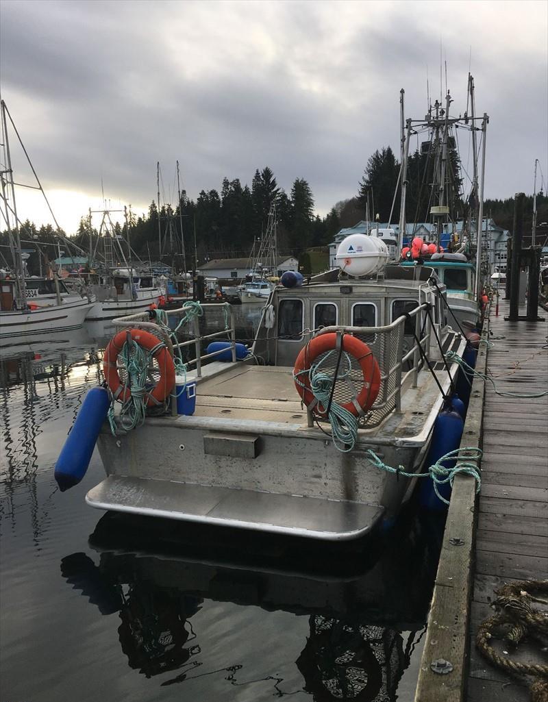 CHINA ROCK - Vesseljoin