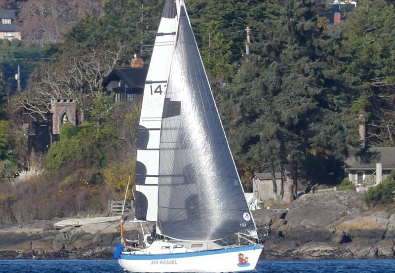 SEA WEASEL - Vesseljoin