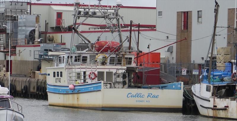 CALLIE RAE - Vesseljoin