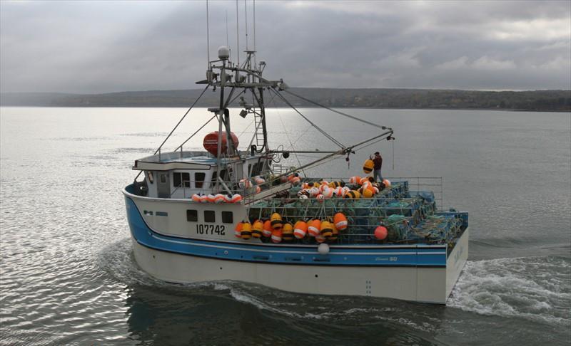 CALLIE RAE - Vesseljoin