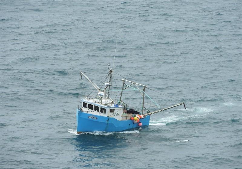 AVALON MIST - Vesseljoin