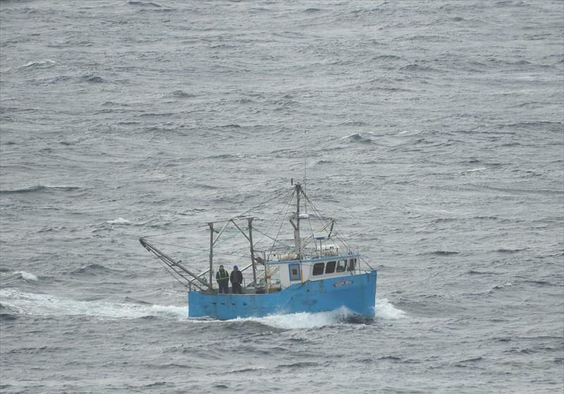 AVALON MIST - Vesseljoin