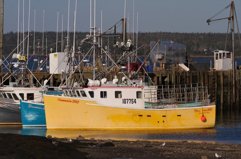 NEMESIS 2012 - Vesseljoin