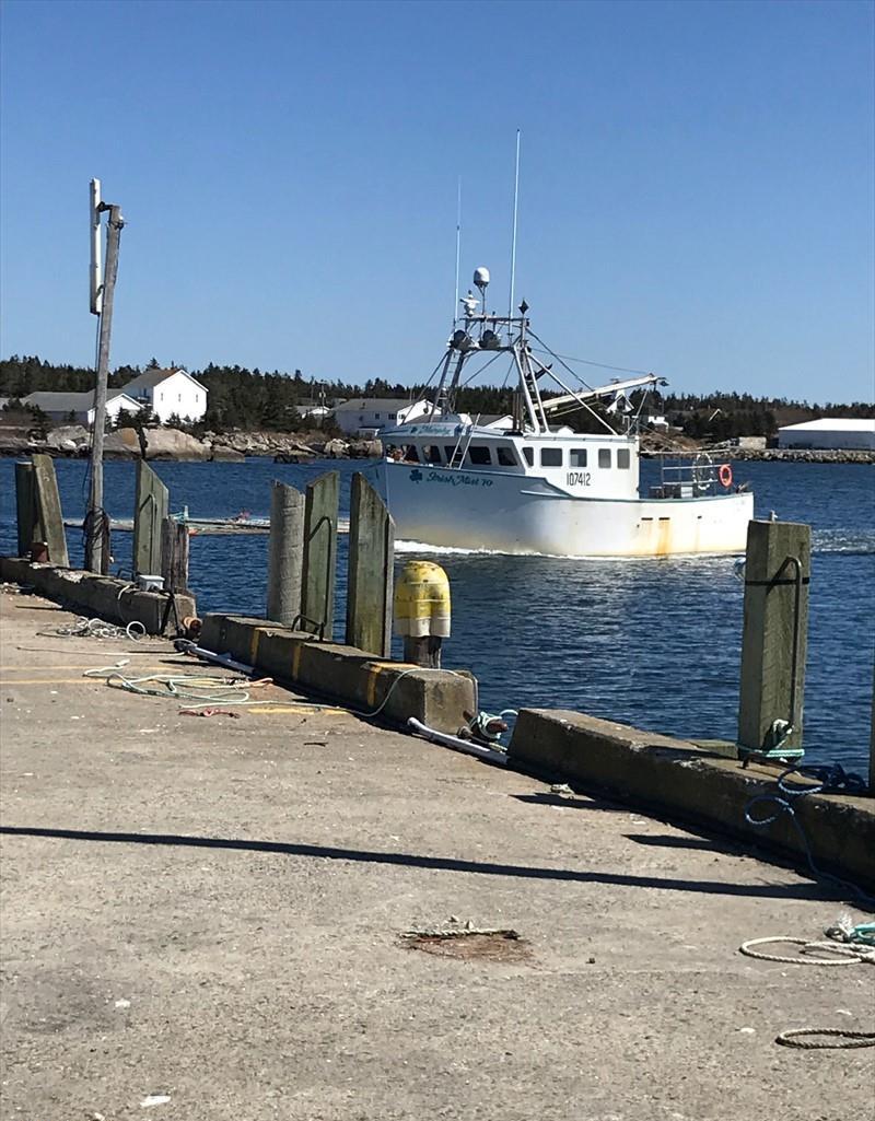 IRISH MIST - Vesseljoin