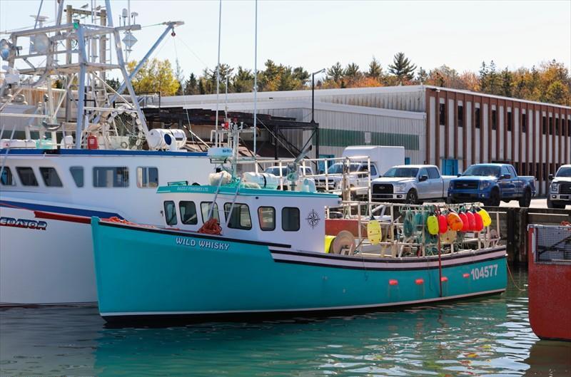 WILD WHISKEY - Vesseljoin