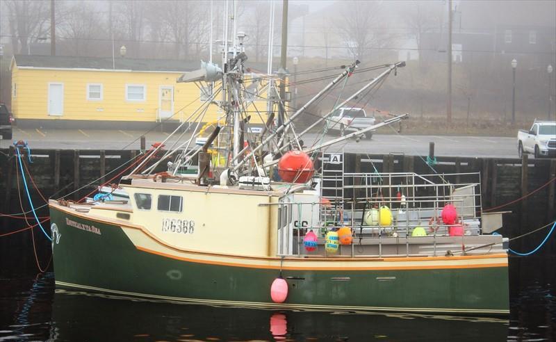 KNOTICAL X TA SEA - Vesseljoin