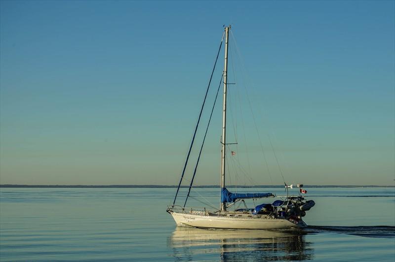 DARWIN SOUND - Vesseljoin