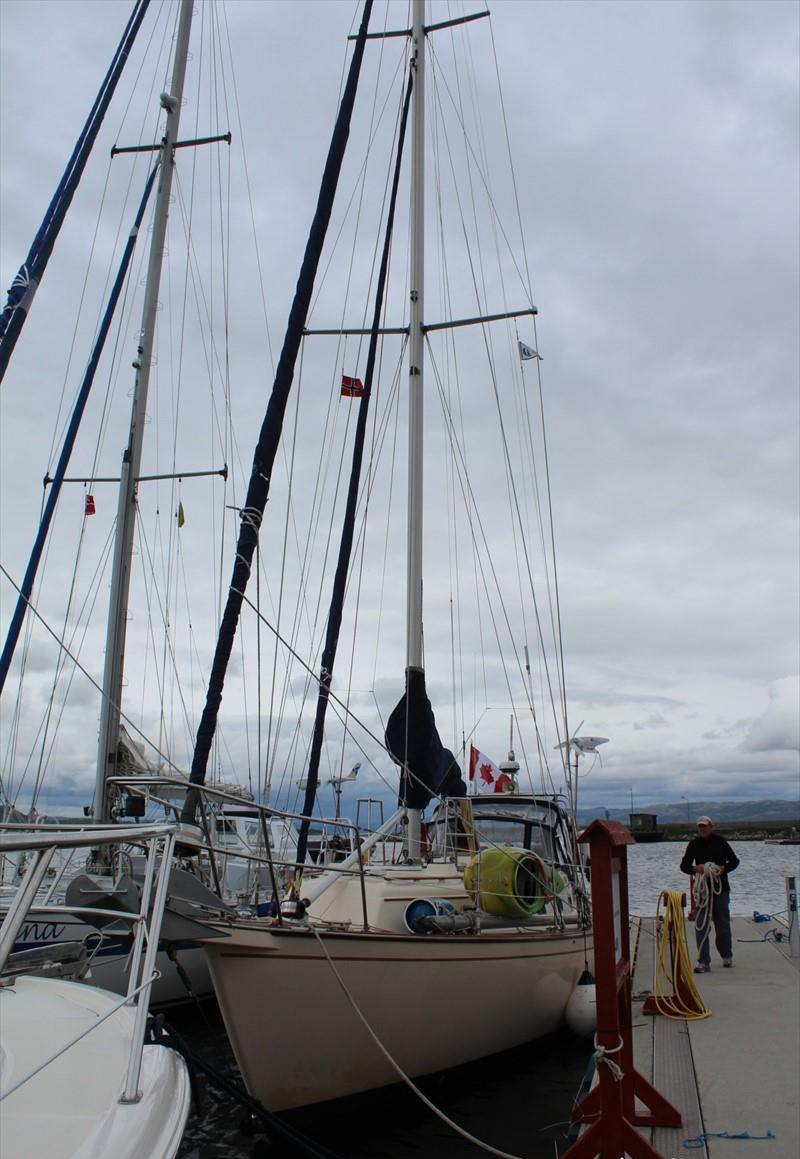 PELORUS JACK - Vesseljoin