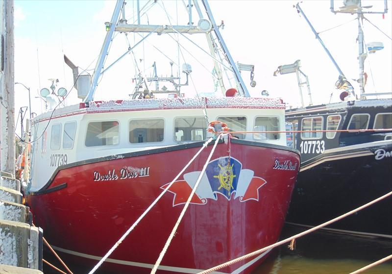 DOUBLE DON III - Vesseljoin