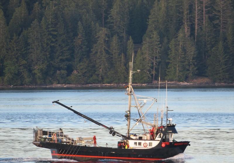 DISCOVERY DAWN - Vesseljoin