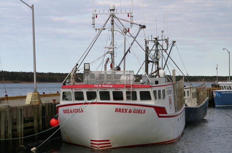 BREX GIRLS - Vesseljoin