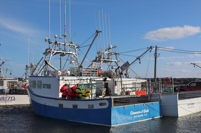 CAMERON GIRLS - Vesseljoin