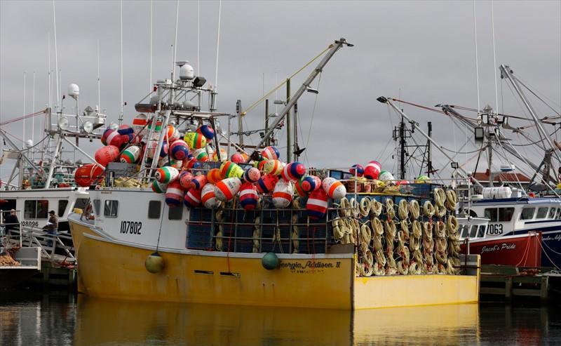 GEORGIA ADDISON - Vesseljoin