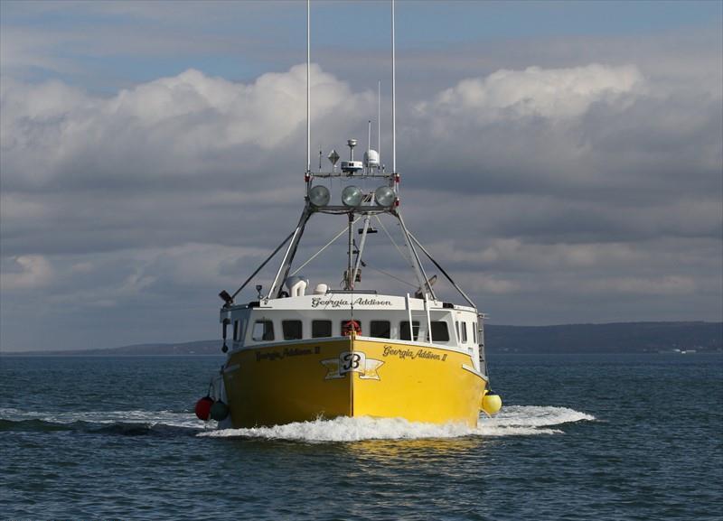 GEORGIA ADDISON - Vesseljoin