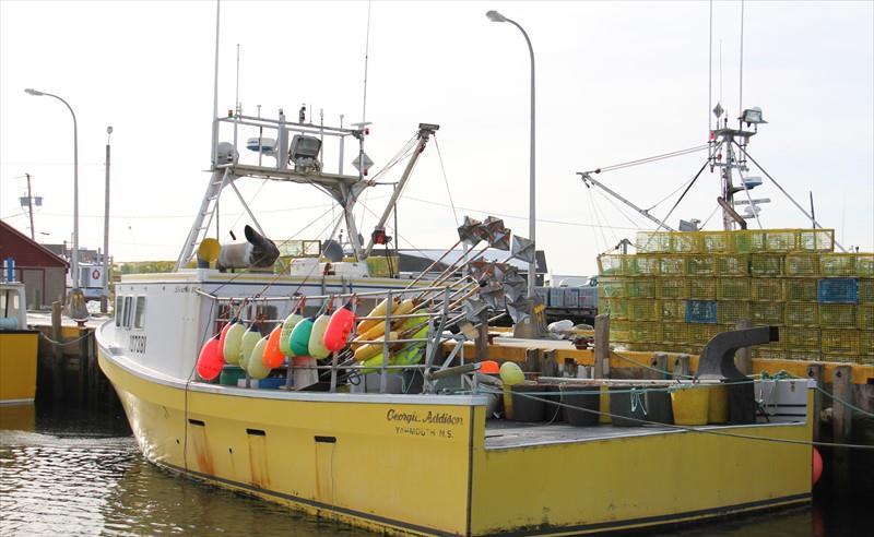 GEORGIA ADDISON - Vesseljoin