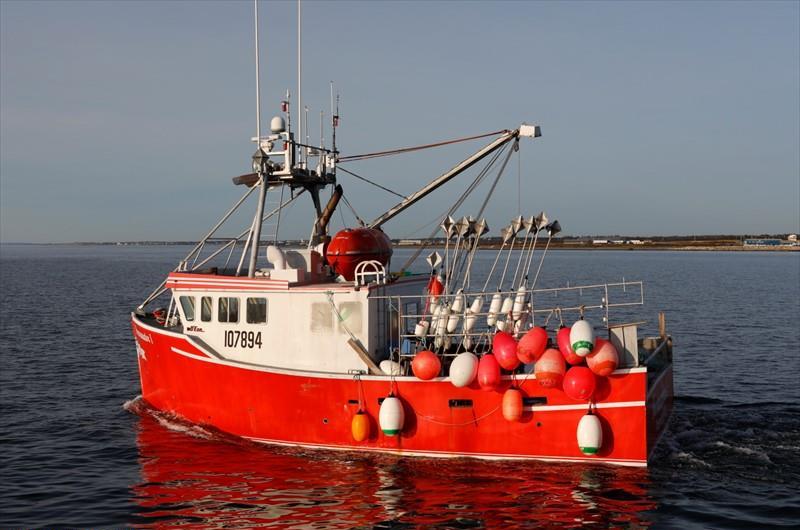 CHASING CHIX - Vesseljoin