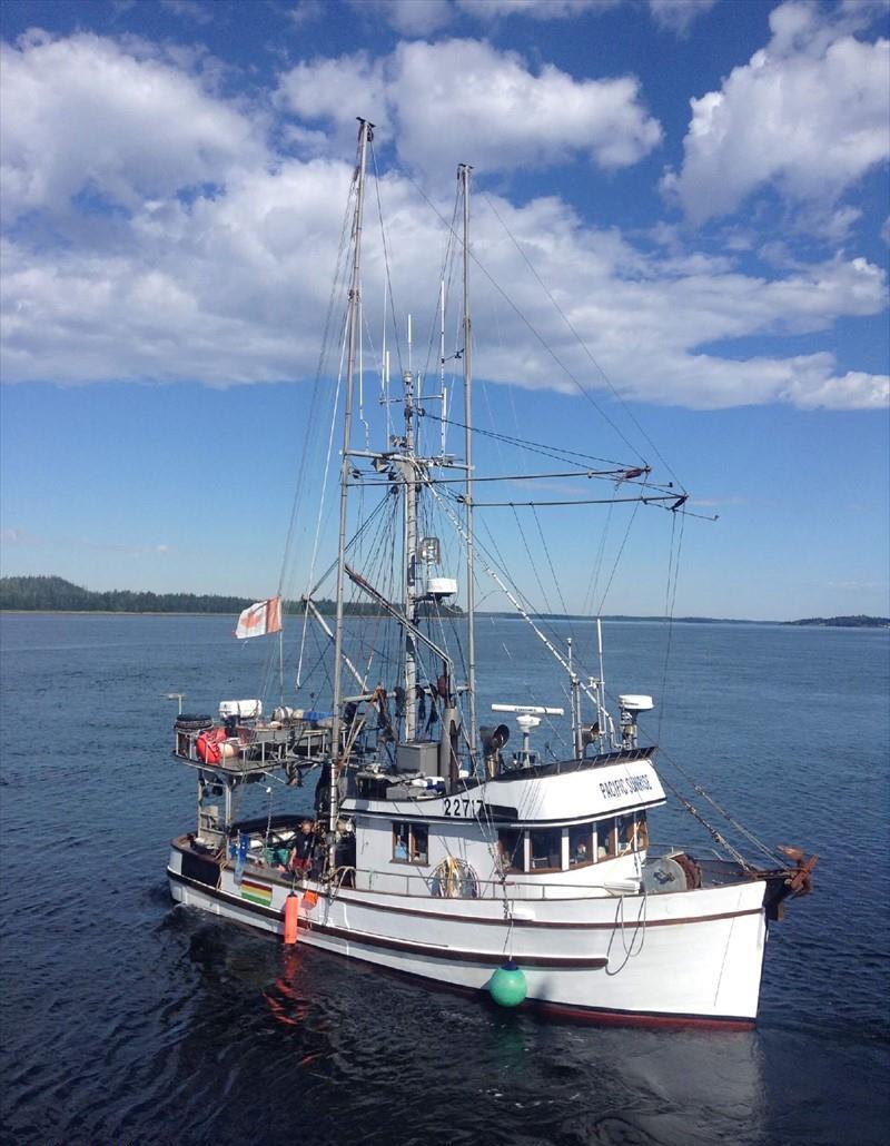 PACIFIC SUNRISE - Vesseljoin