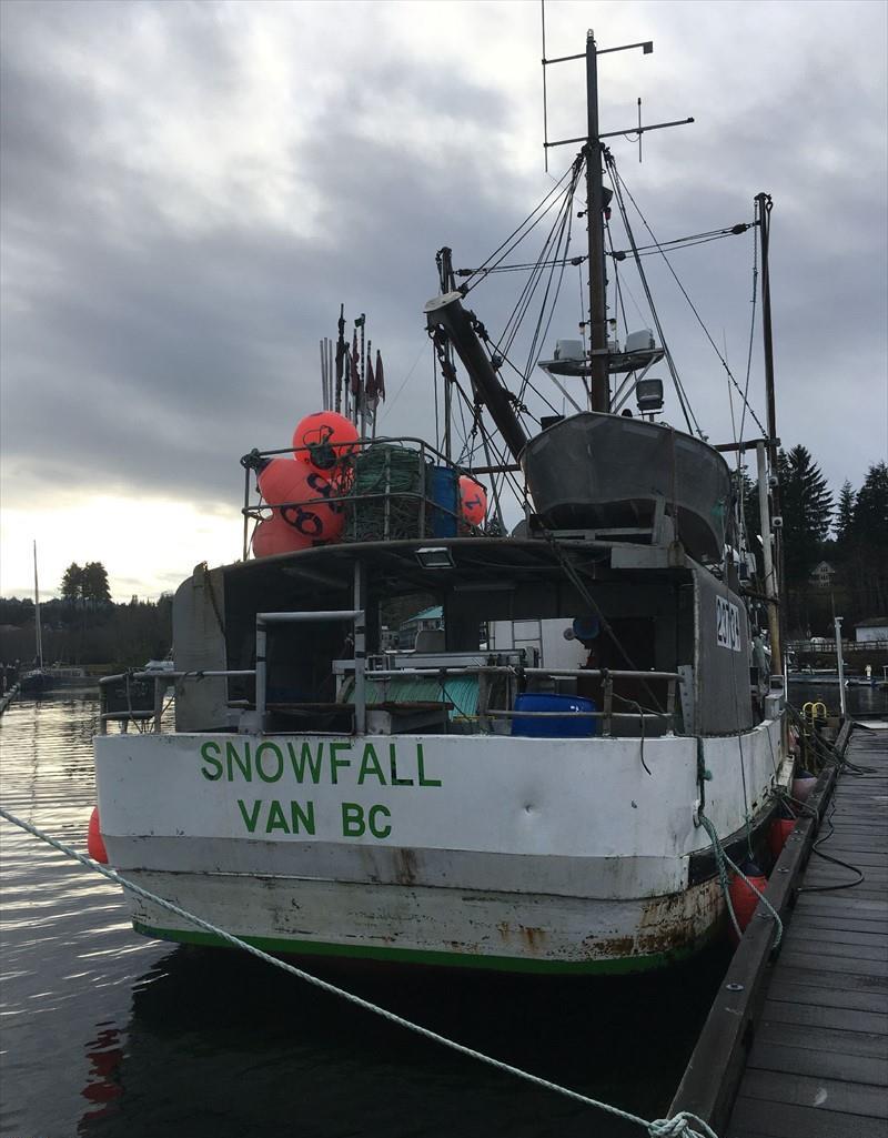 SNOW FALL - Vesseljoin