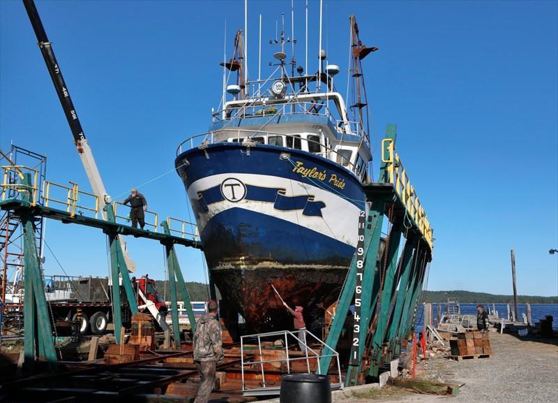 TAYLORS PRIDE - Vesseljoin