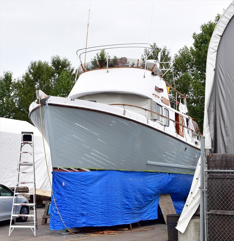 BALLENA - Vesseljoin