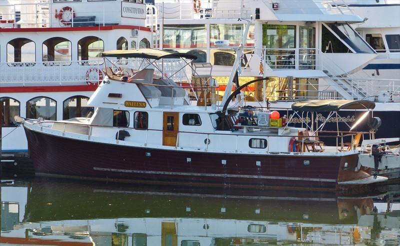 BALLENA - Vesseljoin